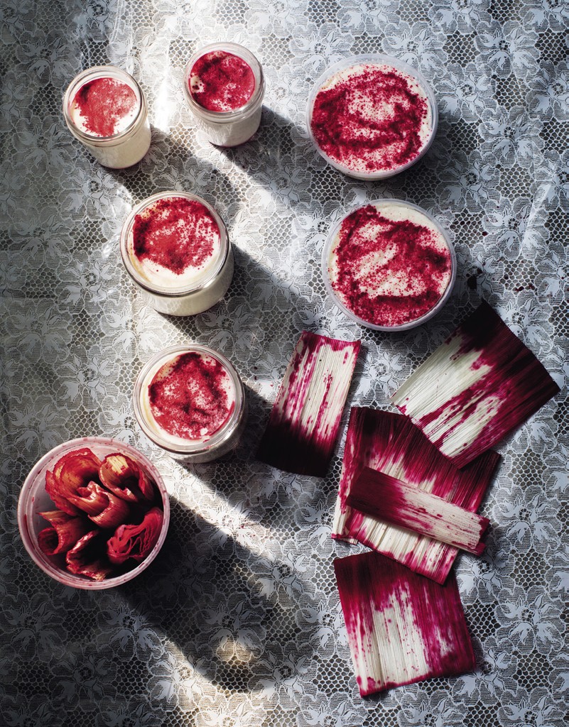 Nicuatole from Oaxaca: Home Cooking from the Heart of Mexico by Bricia ...